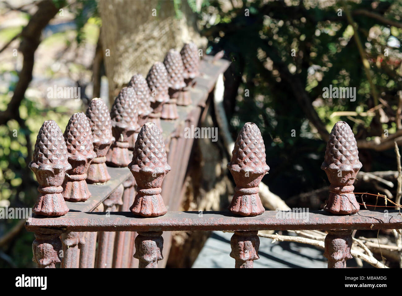 detail of ornamental cast iron fence around grave plot in cemetery ...