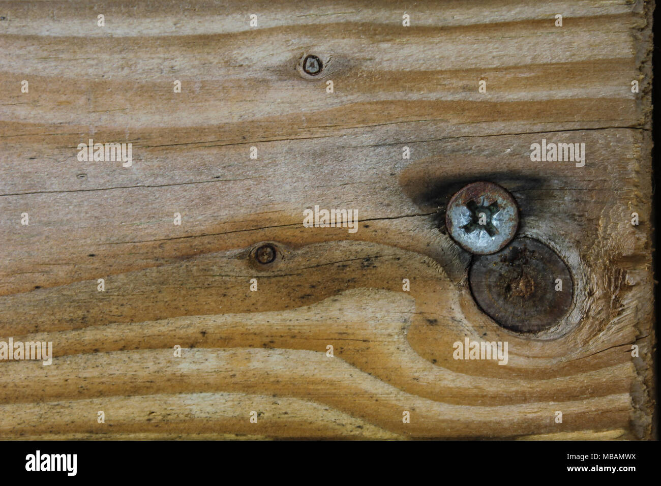 natural close-up texture of a tree Stock Photo - Alamy