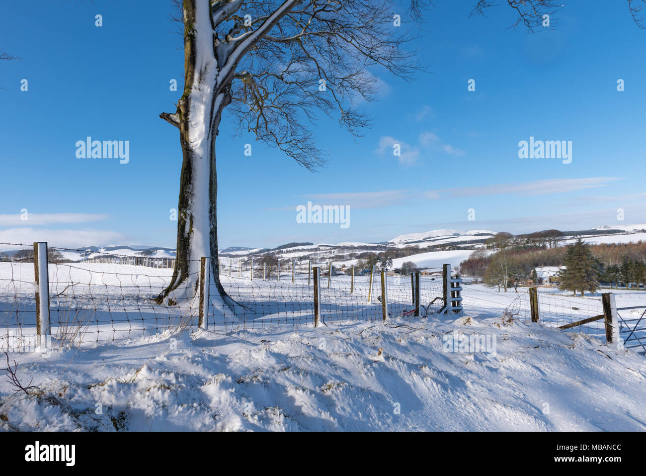 Winter landscape in scottish hi-res stock photography and images - Alamy