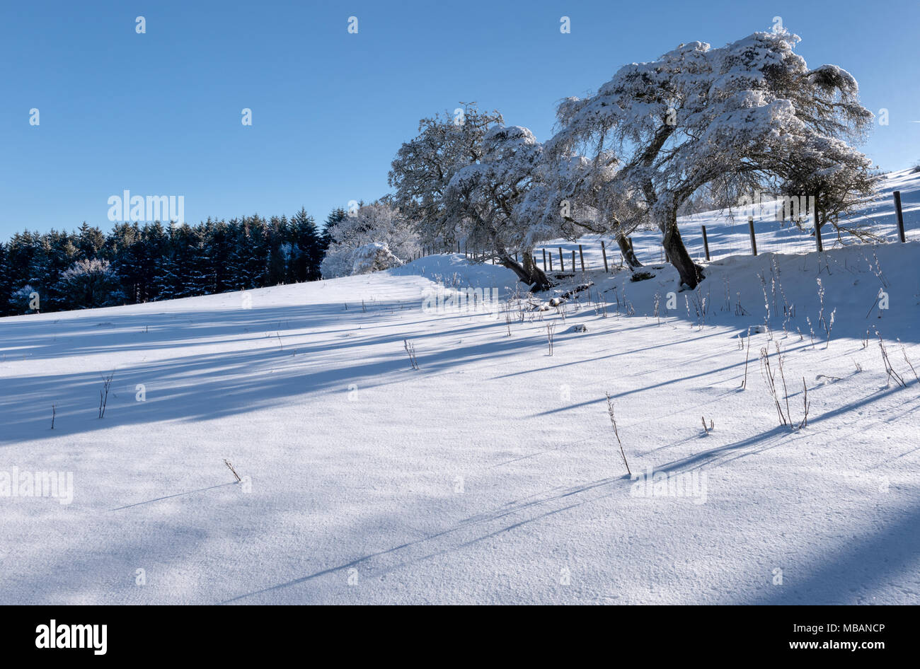 Romanno bridge hi-res stock photography and images - Alamy