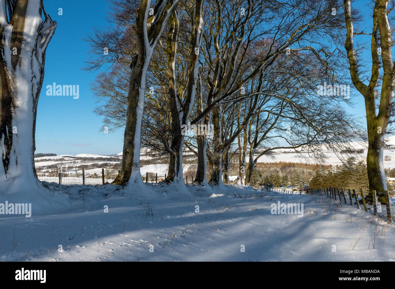 Scottish borders road hi-res stock photography and images - Alamy