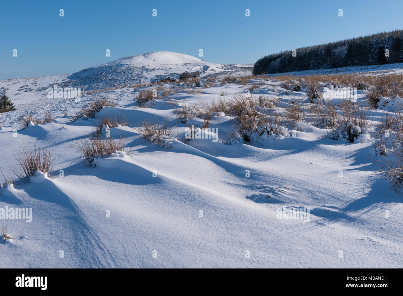 Romanno hi-res stock photography and images - Alamy