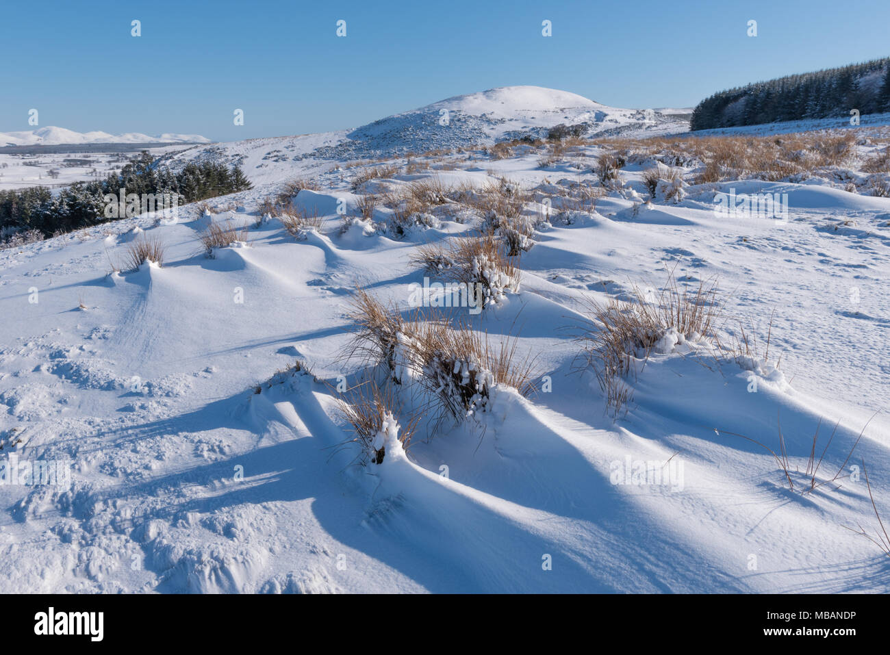 Hills on the scottish borders hi-res stock photography and images - Alamy