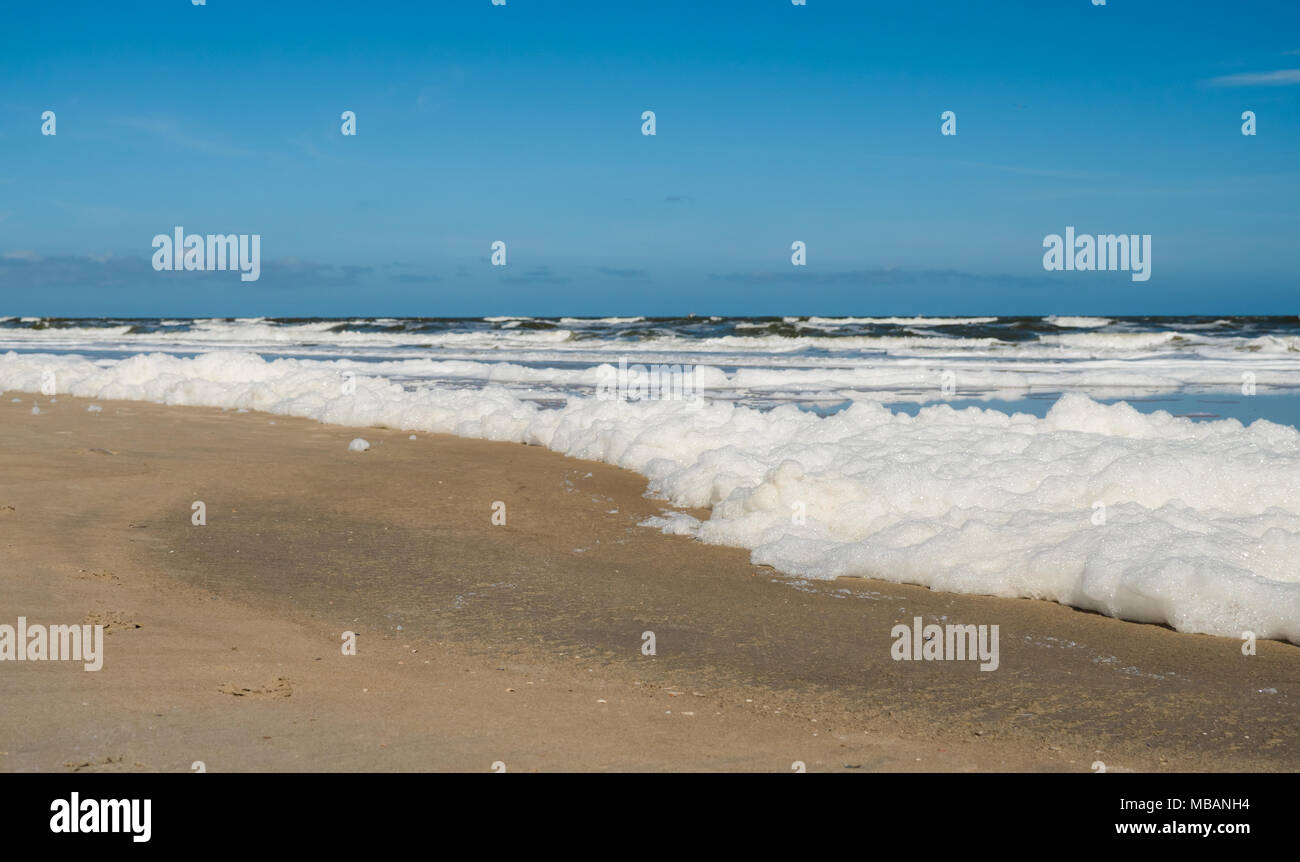 Algae foam hi-res stock photography and images - Alamy