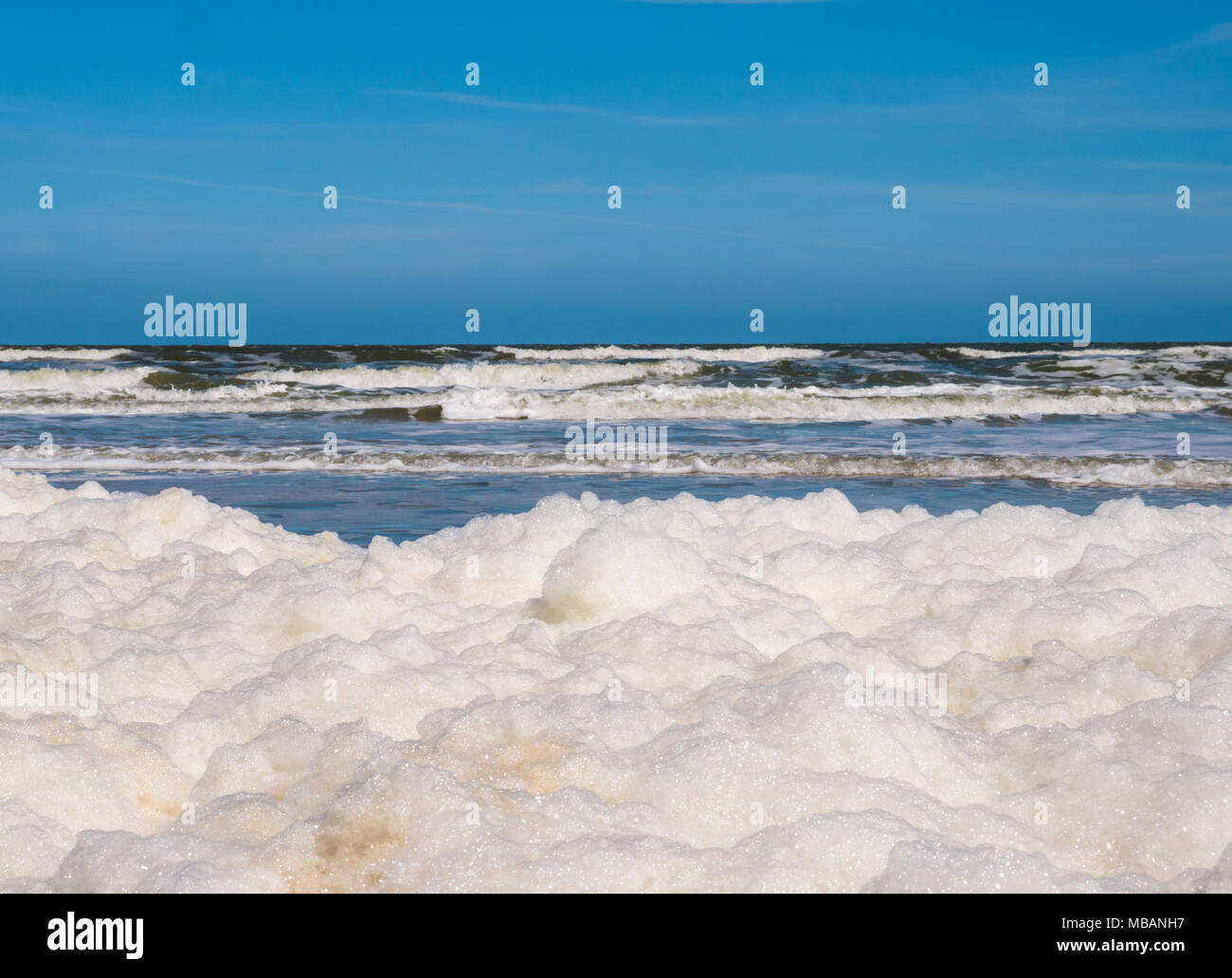 Foam algae hi-res stock photography and images - Alamy