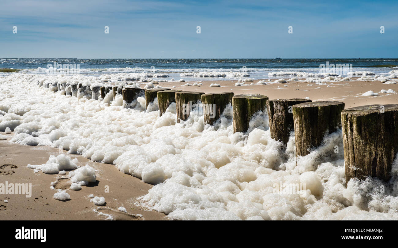 Foam algae hi-res stock photography and images - Alamy
