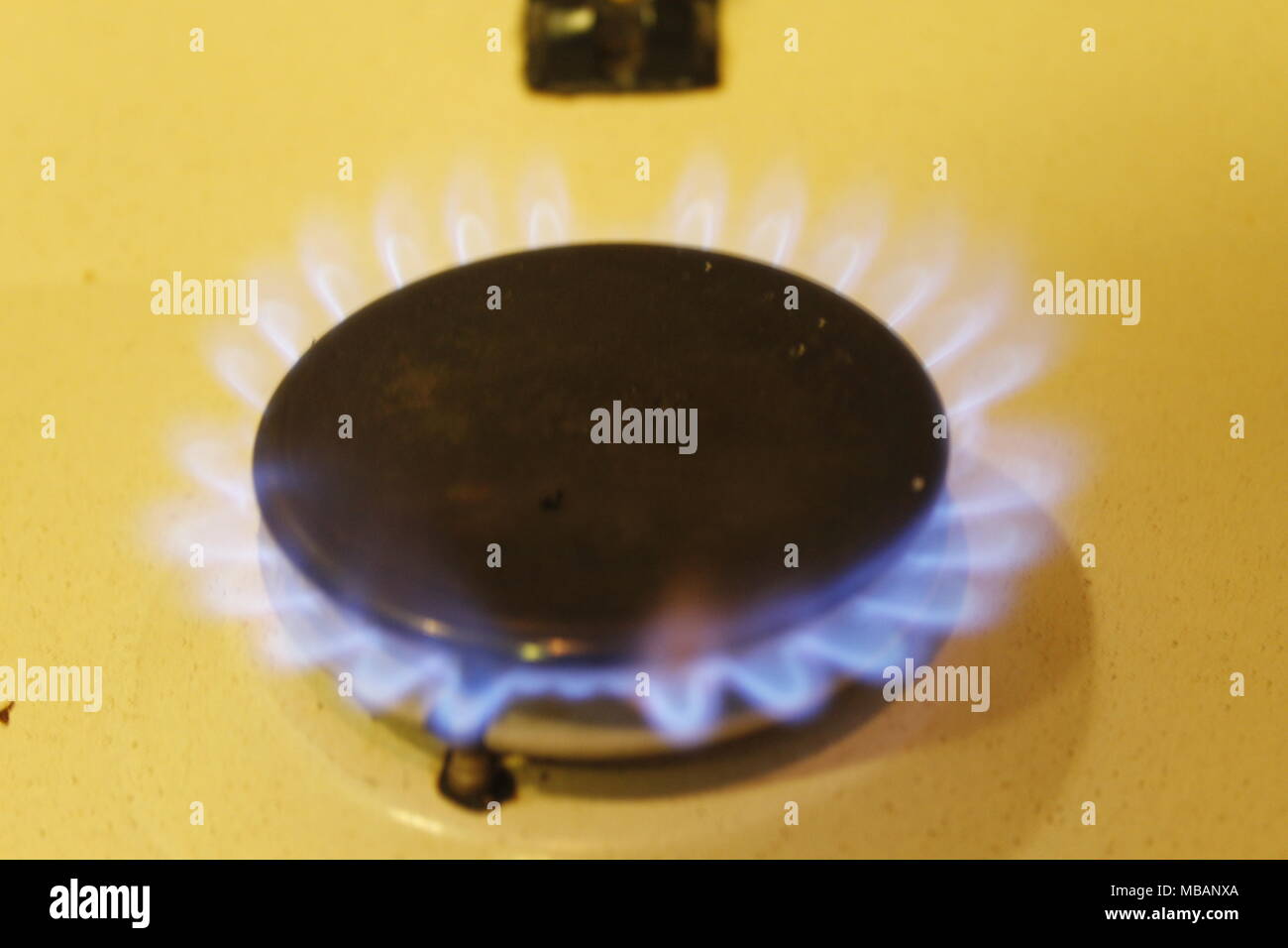 Natural gas burning on kitchen gas stove Stock Photo - Alamy