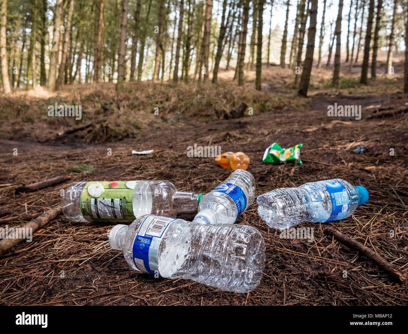 Plastic pollution woodland hi-res stock photography and images - Alamy