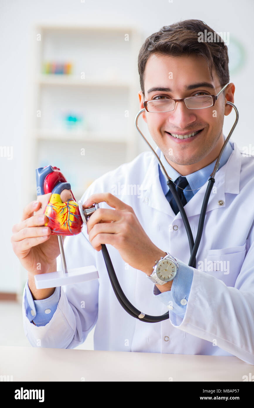 Doctor explaining the heart model Stock Photo - Alamy