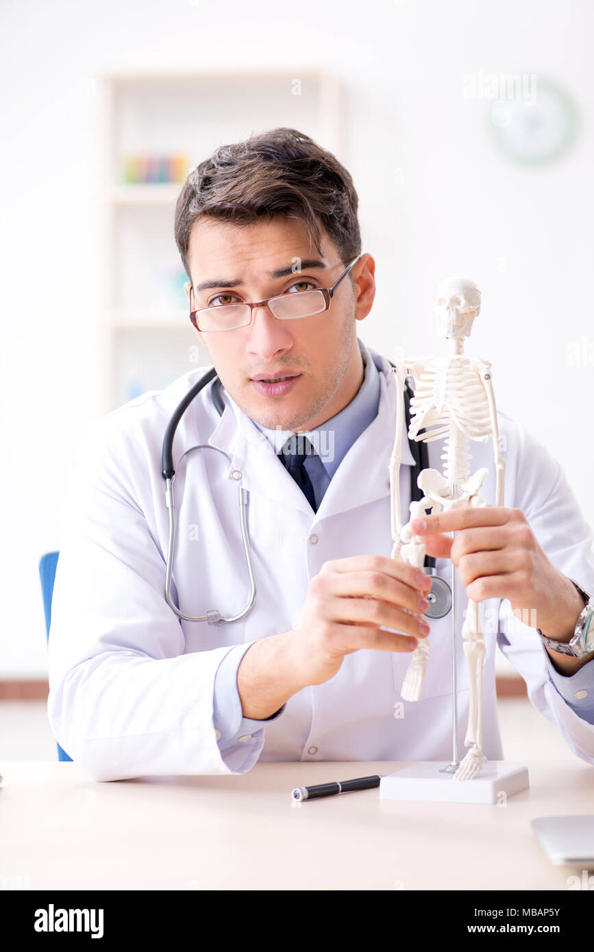 Doctor explaining human body on skeleton Stock Photo - Alamy