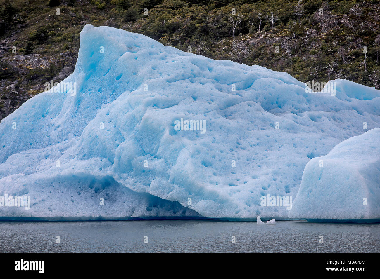 Grey Lake, iceberg detached from Grey Glacier, Torres del Paine ...