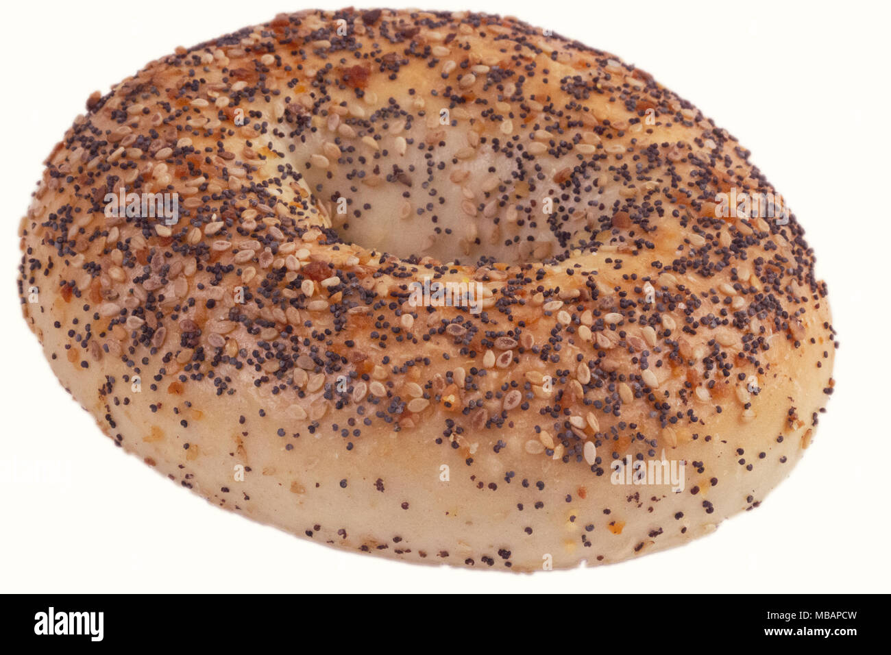 A single baked everything bagel isolated on a white background Stock ...