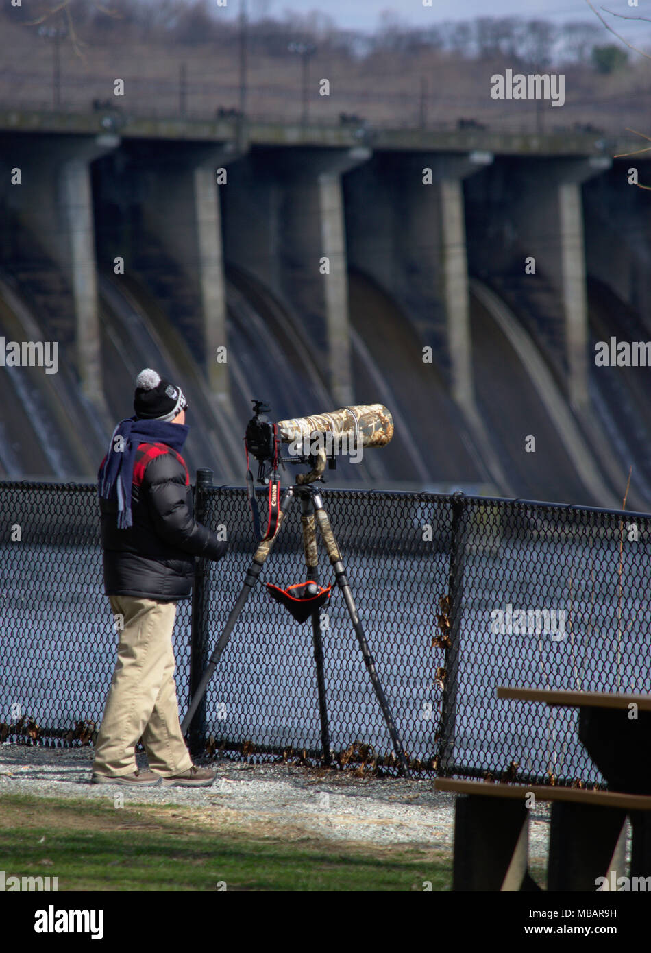 Wildlife Photographer shooting Eagles Stock Photo - Alamy