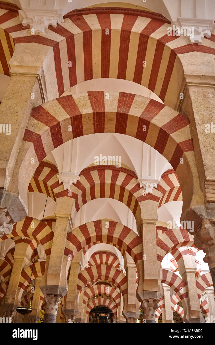 The columns and arches of the Mosque–Cathedral of Córdoba, Andalusia ...
