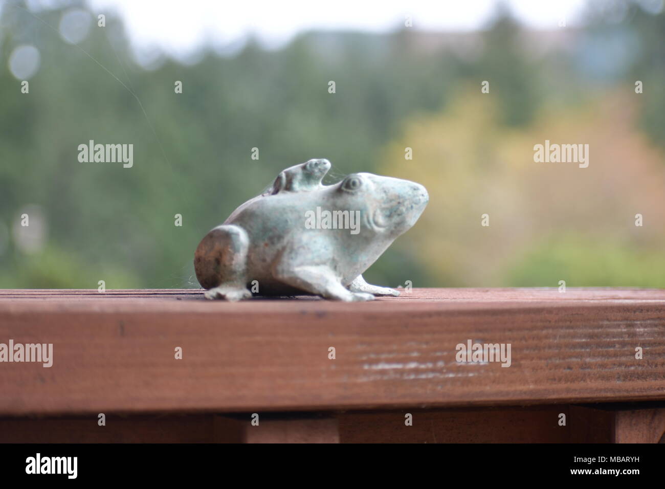 Frogs rocks water High Resolution Stock Photography and Images - Alamy