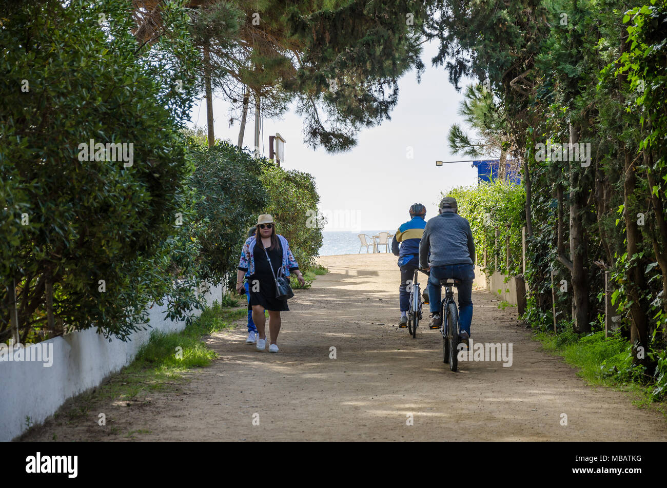 A view looking down a tree lined, dusty path leading to the sea Stock ...