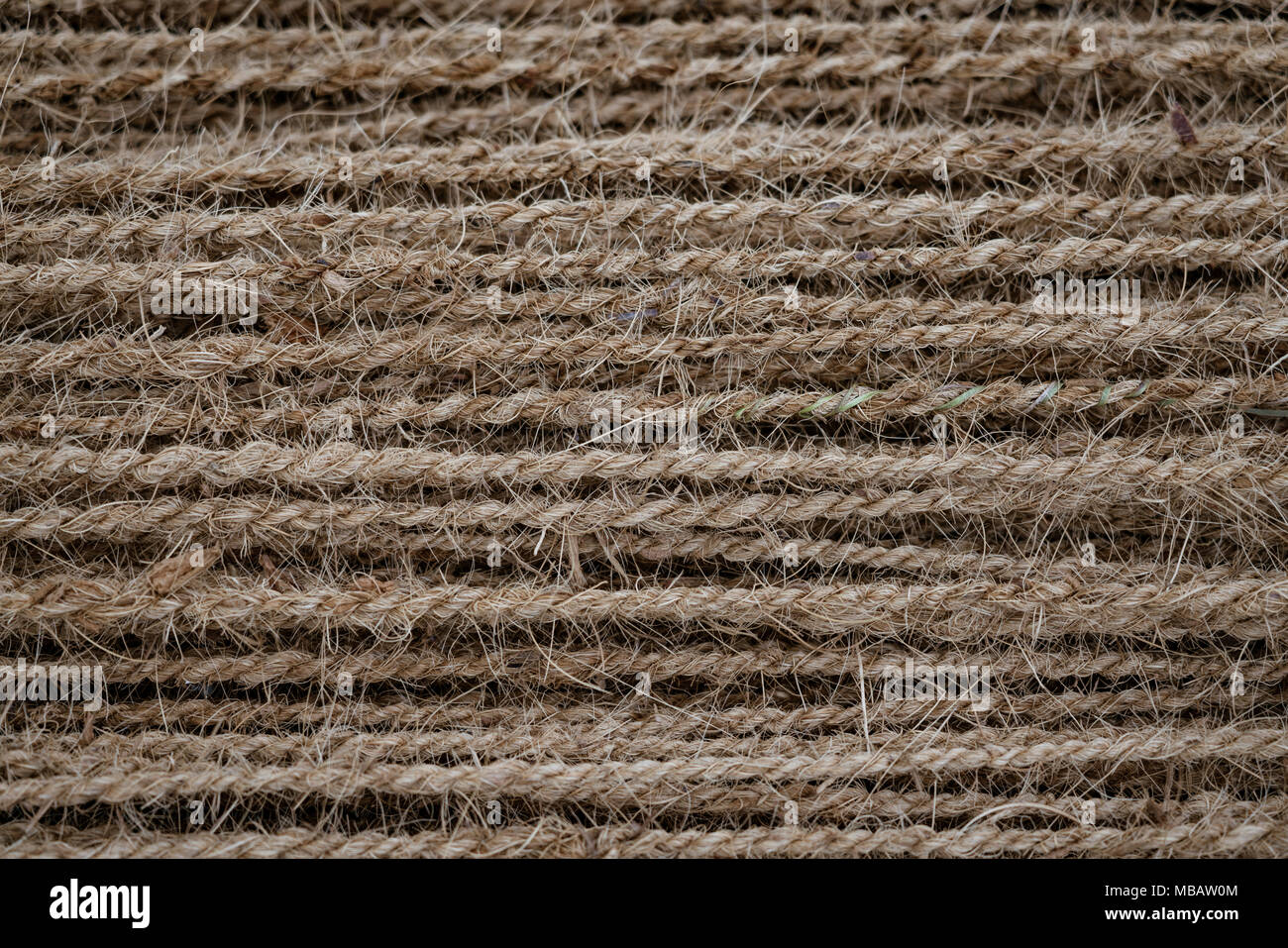 Background texture of the rope made from coconut husk fibers Stock ...