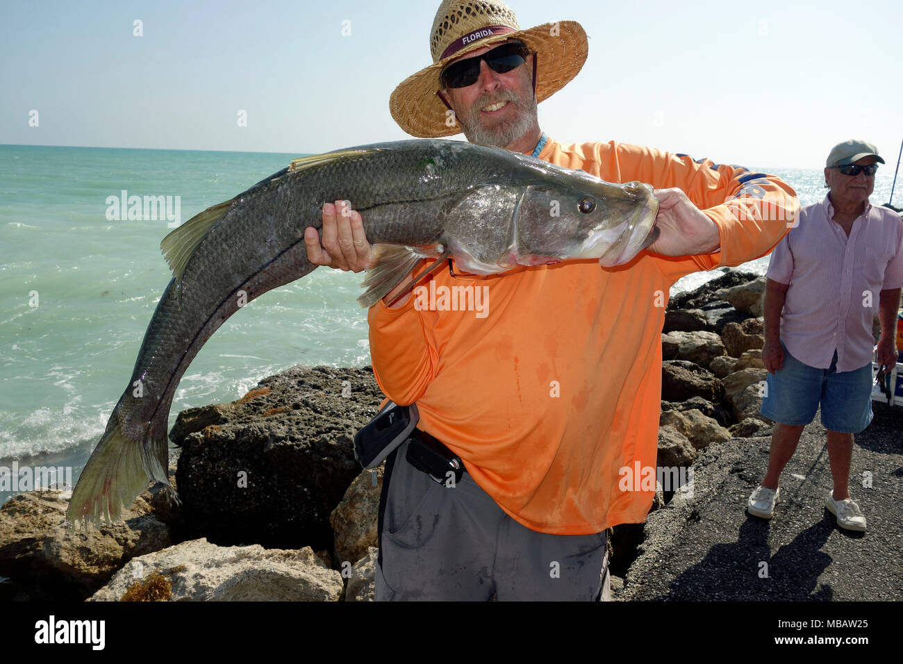 A very large snook fish held by a fisherman Stock Photo - Alamy