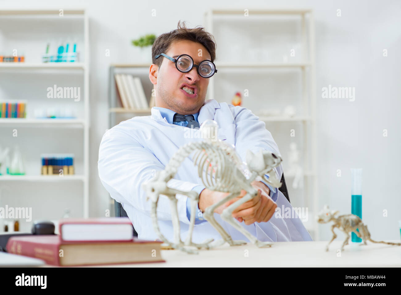 Funny scientist with cat skeleton in lab clinic Stock Photo - Alamy
