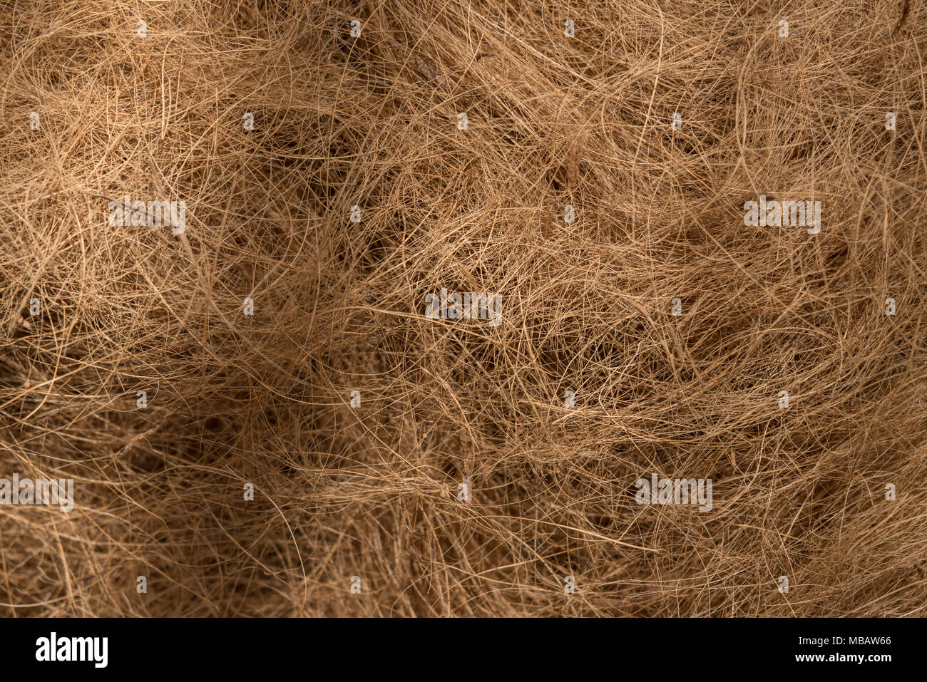 Background texture of coconut husk fibers Stock Photo - Alamy