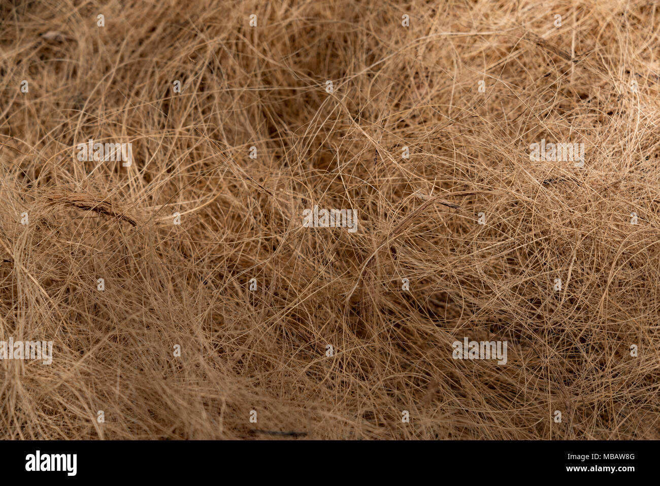 Background texture of coconut husk fibers Stock Photo - Alamy