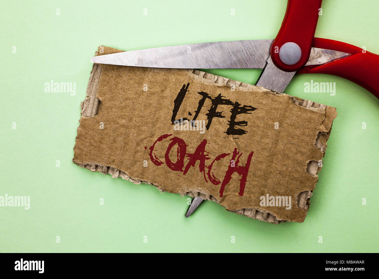 Text sign showing Life Coach. Conceptual photo Mentoring Guiding Career ...