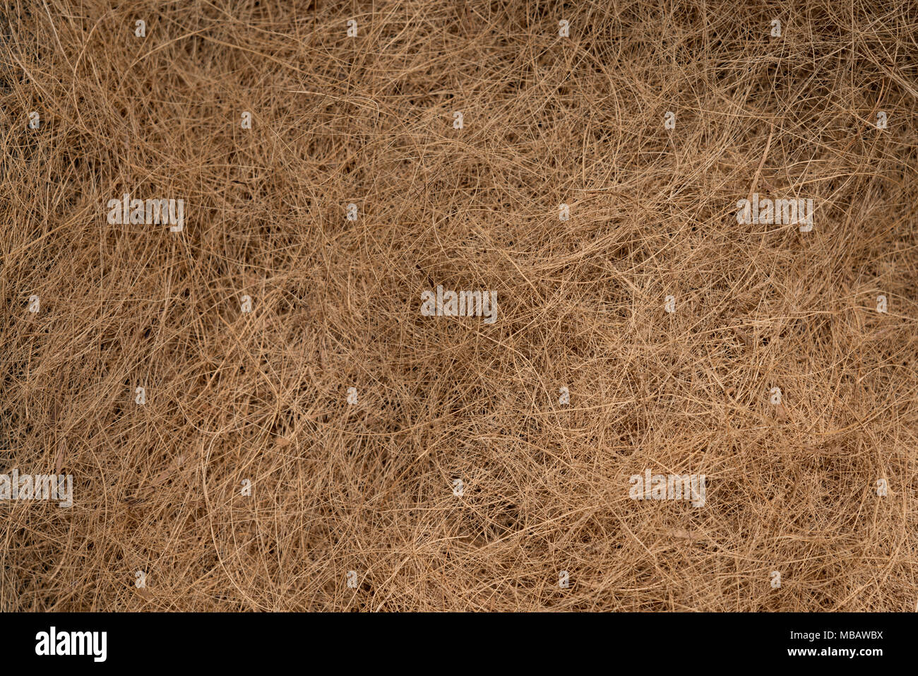 Background texture of coconut husk fibers Stock Photo - Alamy