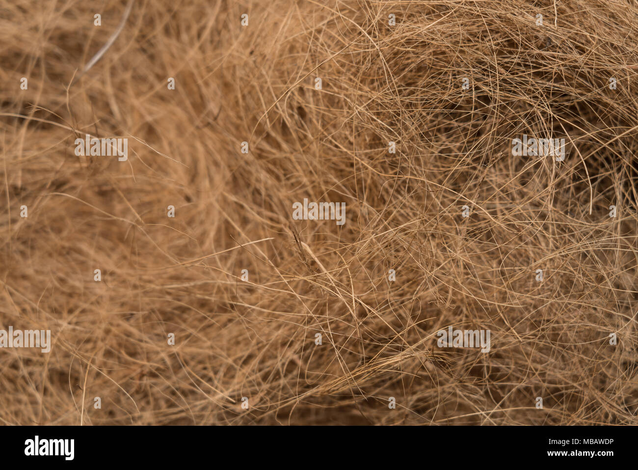 Background texture of coconut husk fibers Stock Photo - Alamy