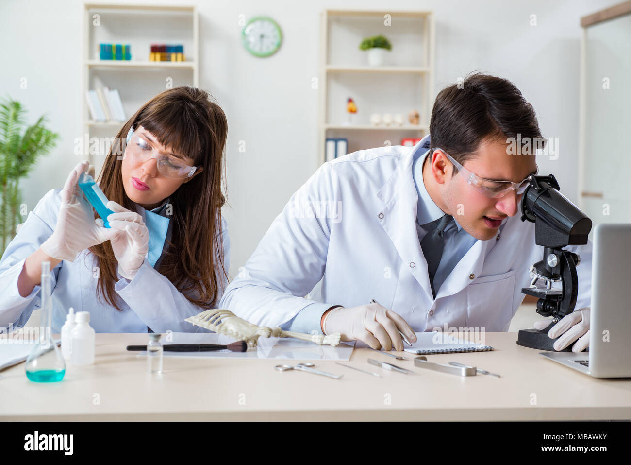 Paleontologists examining fossil hi-res stock photography and images ...