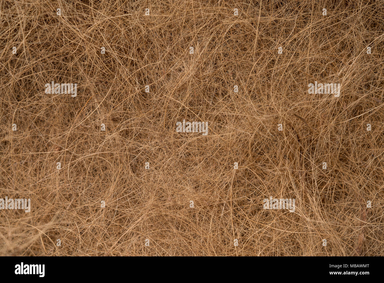 Background texture of coconut husk fibers Stock Photo - Alamy