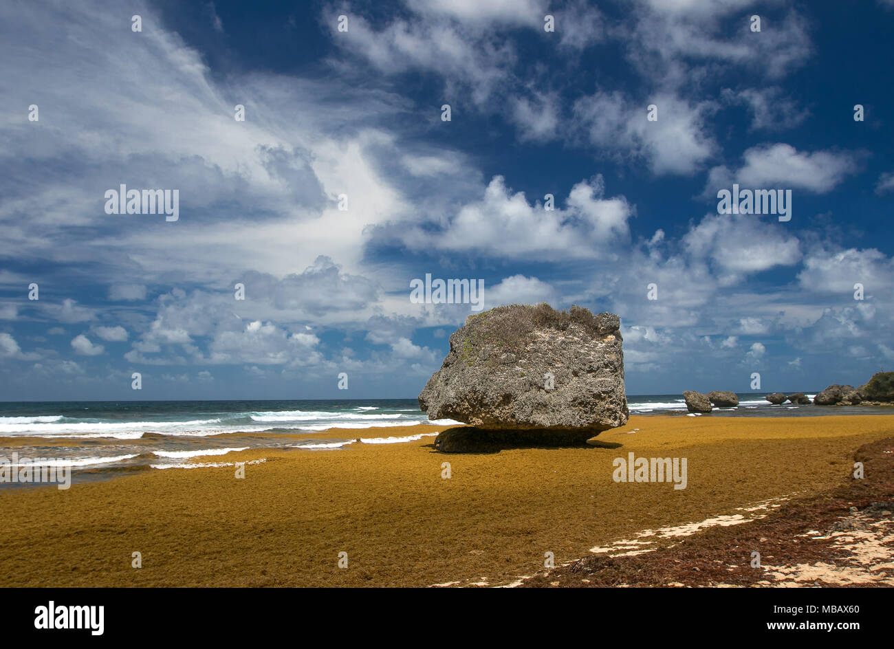 Typically tropical barbados hi-res stock photography and images - Alamy