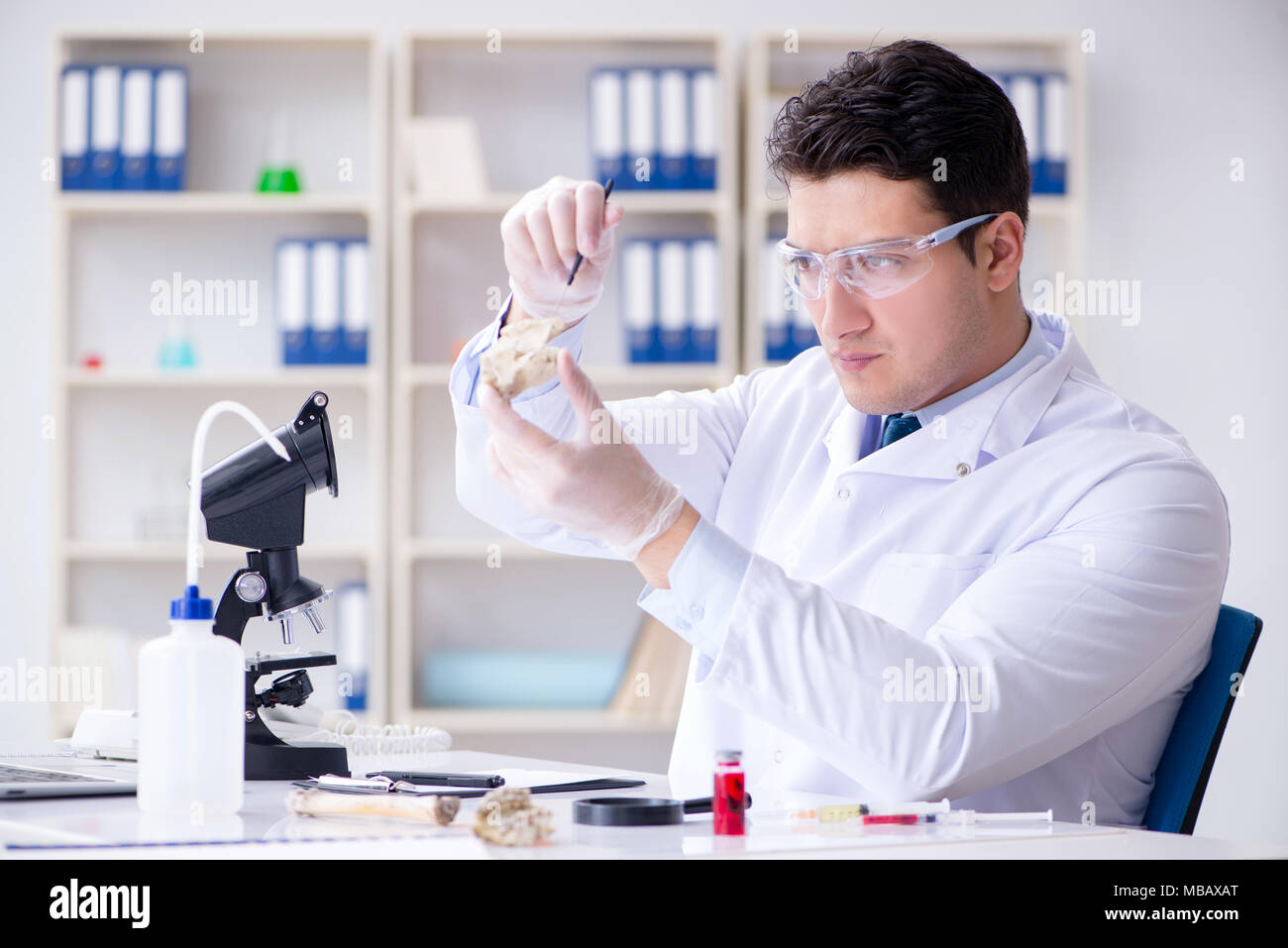 Paleontologist looking at extinct animal bone Stock Photo - Alamy