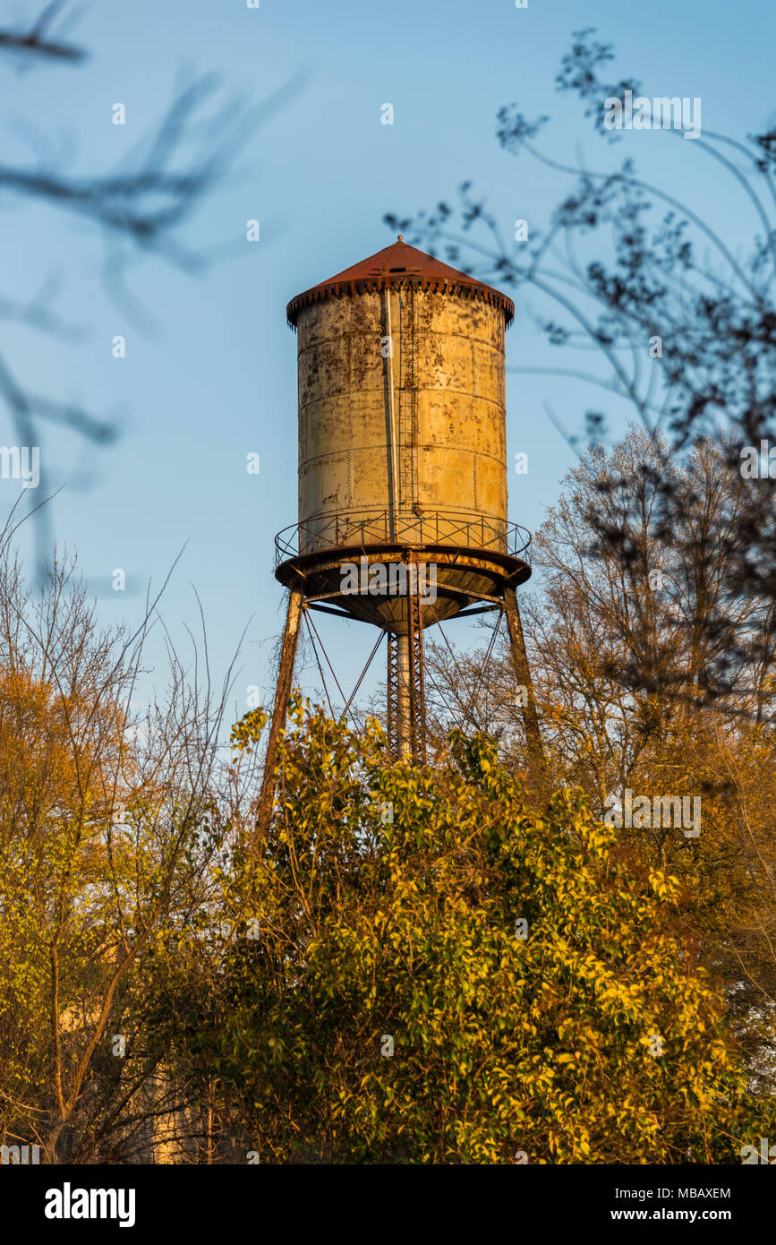 Water tower over the trees and through shrubs Stock Photo - Alamy