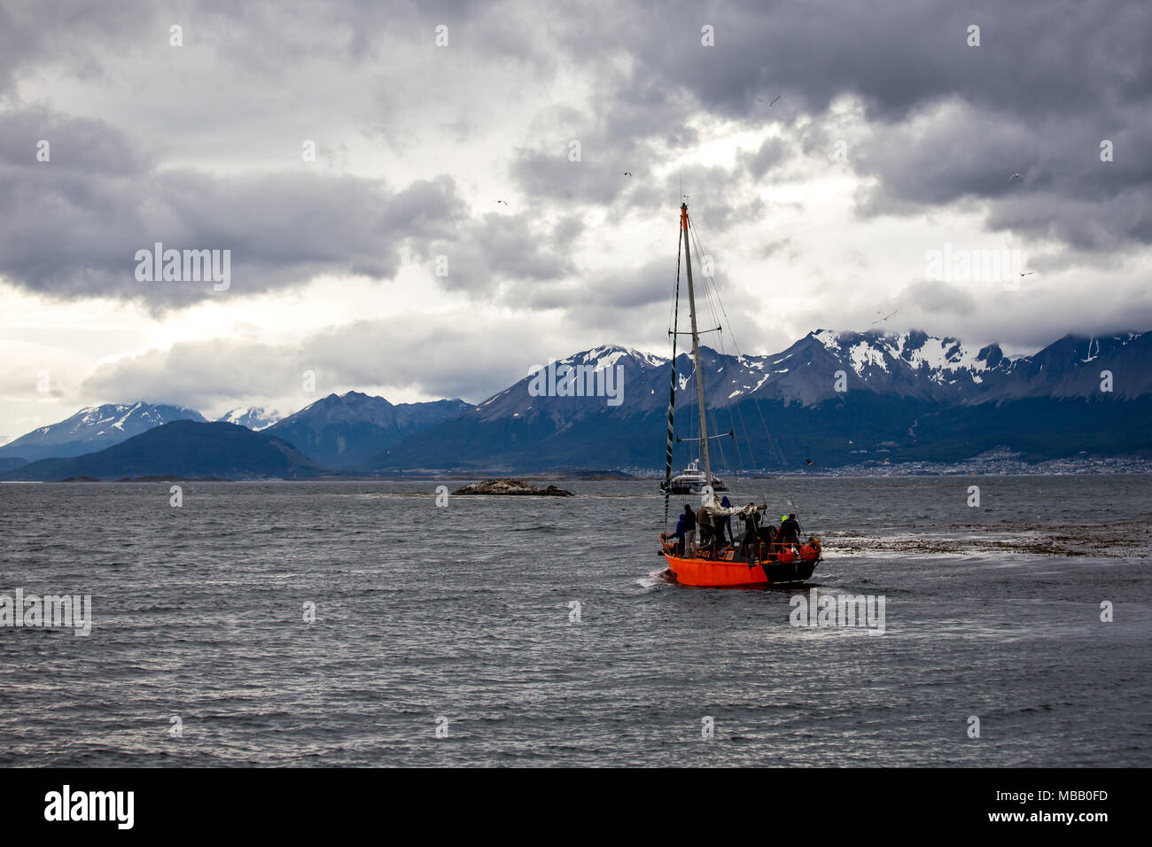 bright orange sailboat visiting the beagle channel, with rocky islands ...