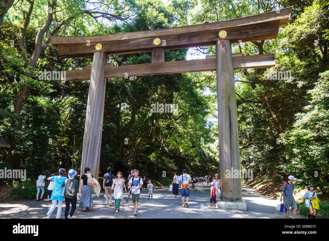Tokyo Japan,Asia,Orient,Shibuya ku,Meiji Jingu Shinto Shrine,torii,gate ...