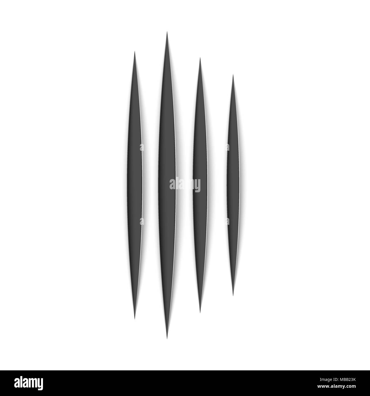 Bear scratches Black and White Stock Photos & Images - Alamy