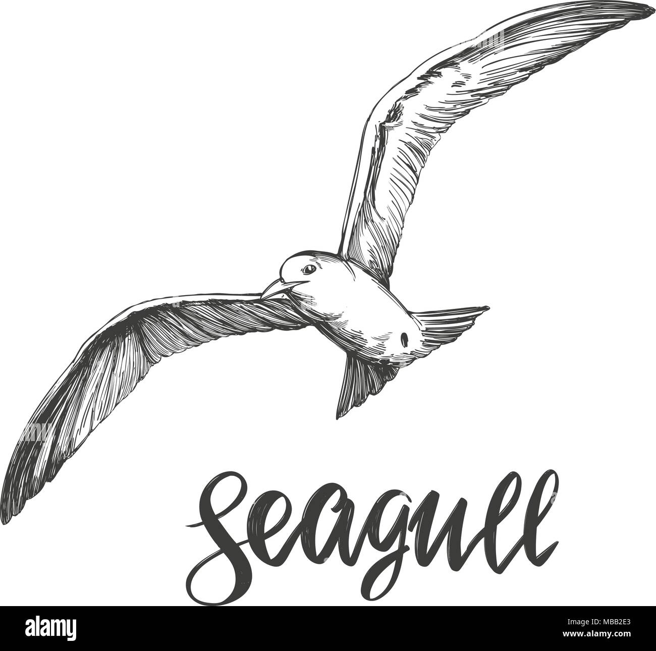 Seagulls Sketch Cute