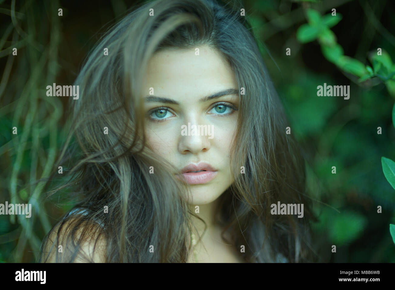 Danielle campbell hi-res stock photography and images - Alamy