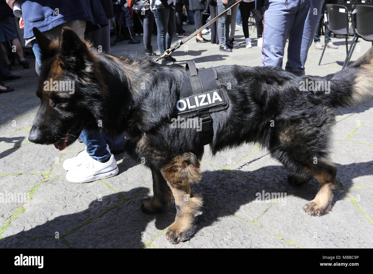 State police naples hi-res stock photography and images - Alamy