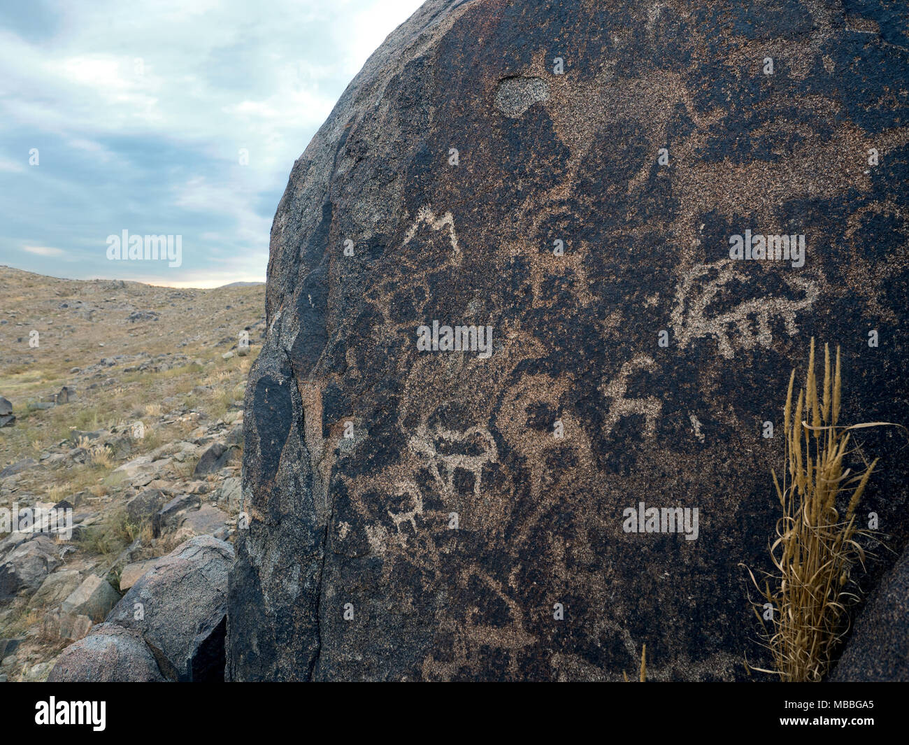 Neolithic petroglyphs, Mashhad, Iran Stock Photo - Alamy