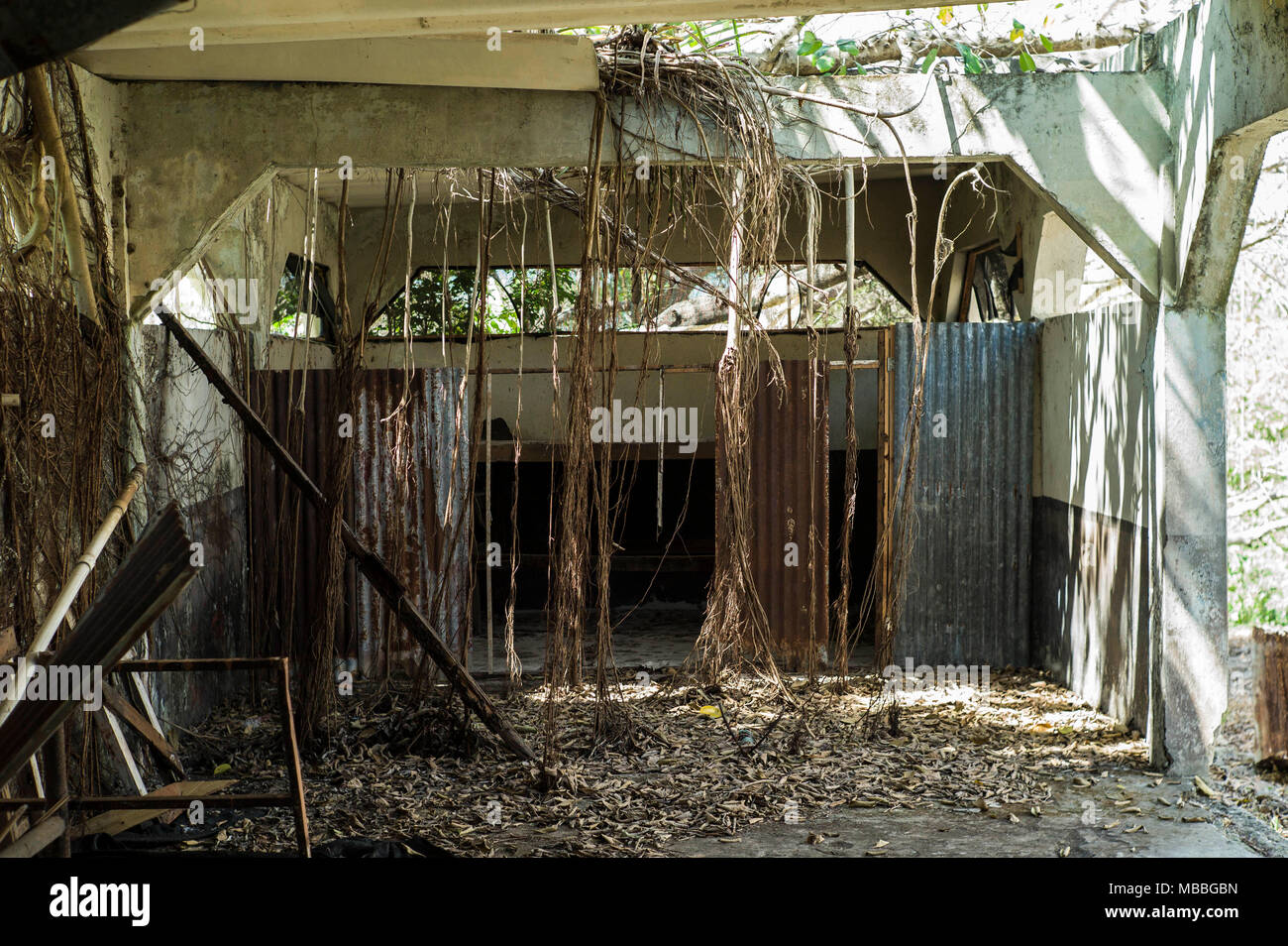Vines overtake a medium security area of Costa Rica's San Lucas Prison ...