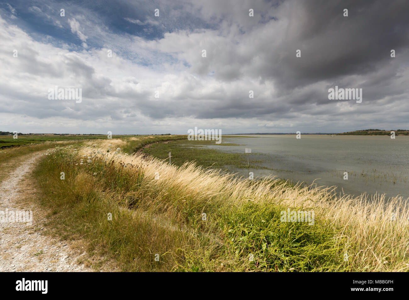 Kent trust nature reserve hi-res stock photography and images - Alamy