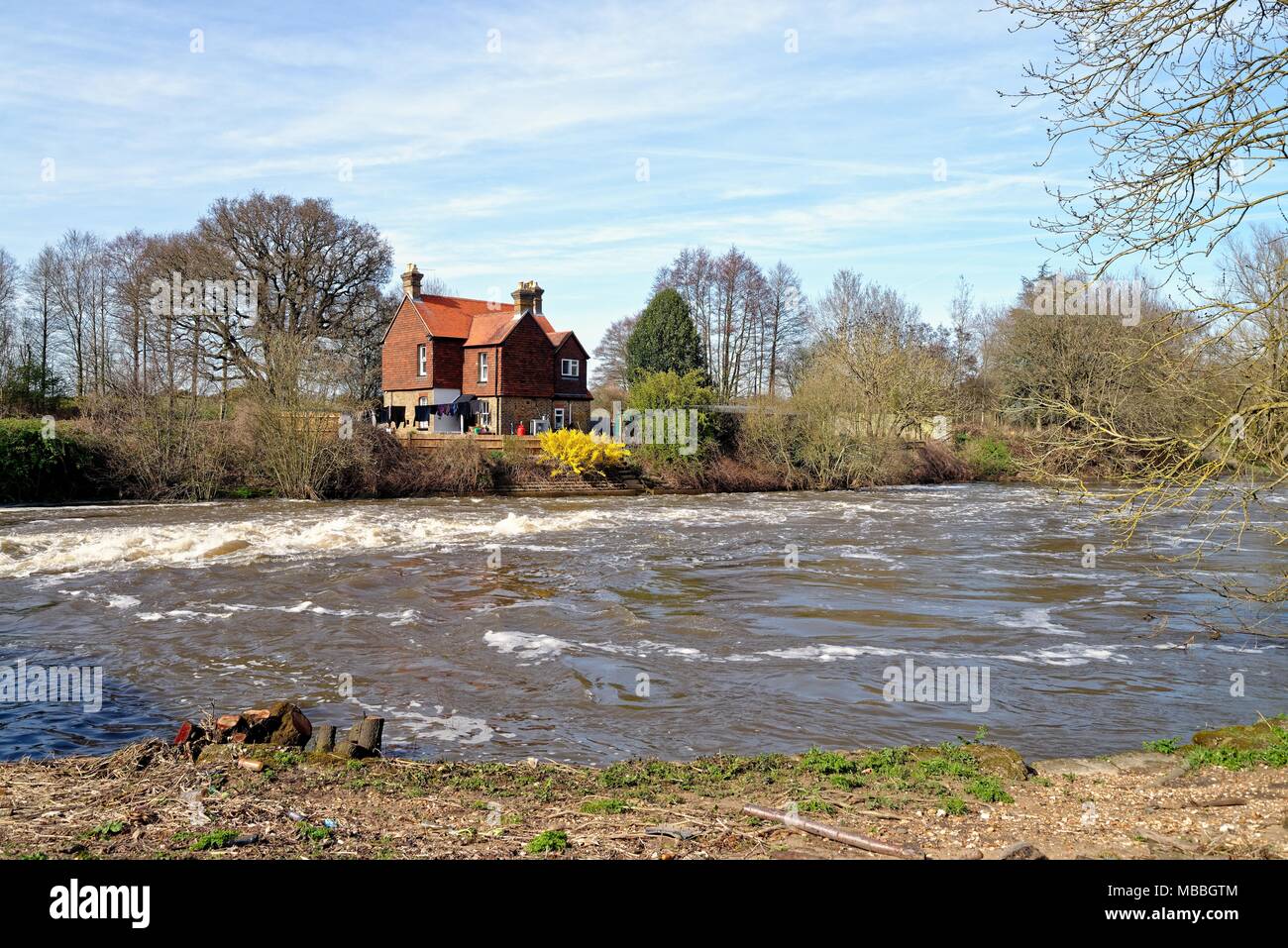 The River Wey in flood at Walsham weir Ripley Surrey England UK Stock ...