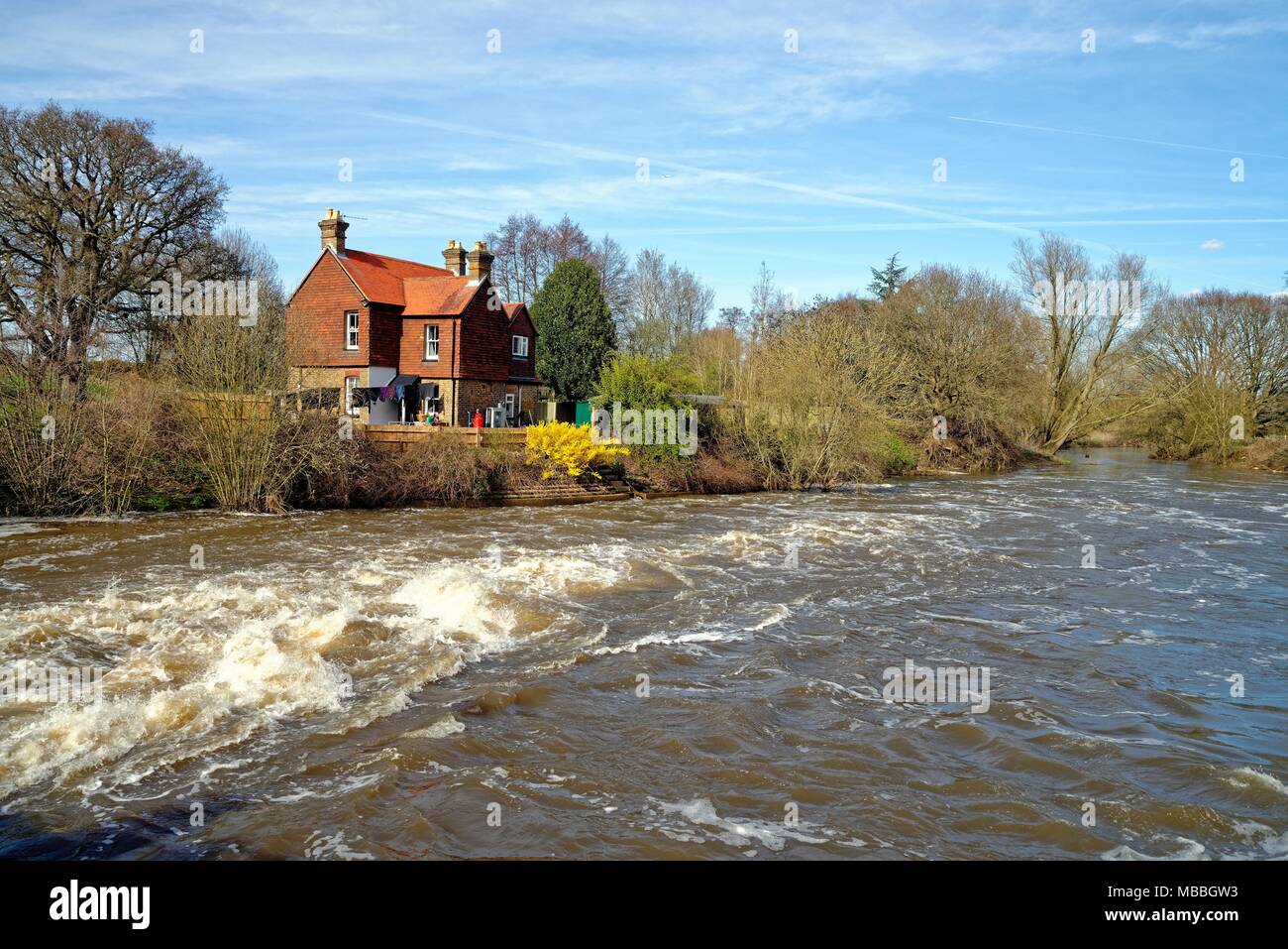 The River Wey in flood at Walsham weir Ripley Surrey England UK Stock ...