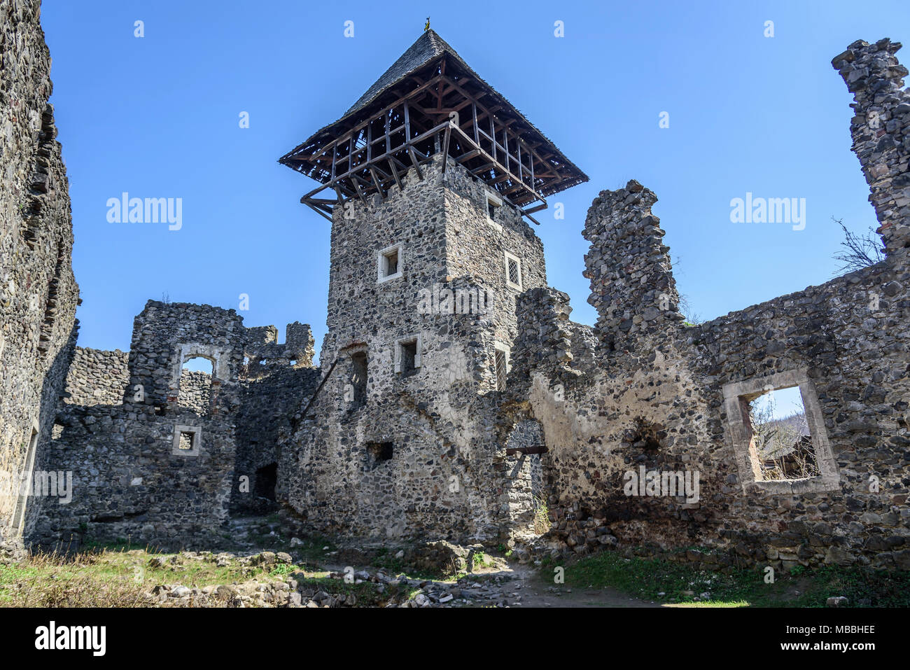Nevitsky castle in the afternoon. Ruins of an ancient castle in the ...