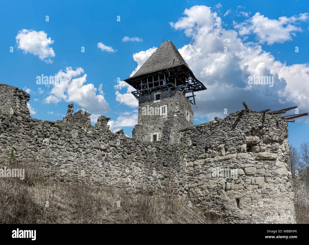 Nevitsky castle in the afternoon. Ruins of an ancient castle in the ...