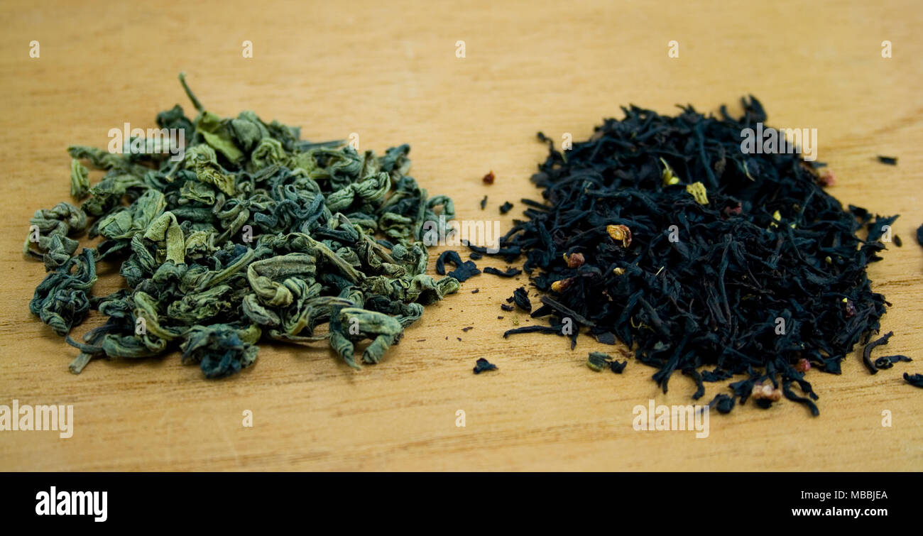 Two kinds of leaves hi-res stock photography and images - Alamy