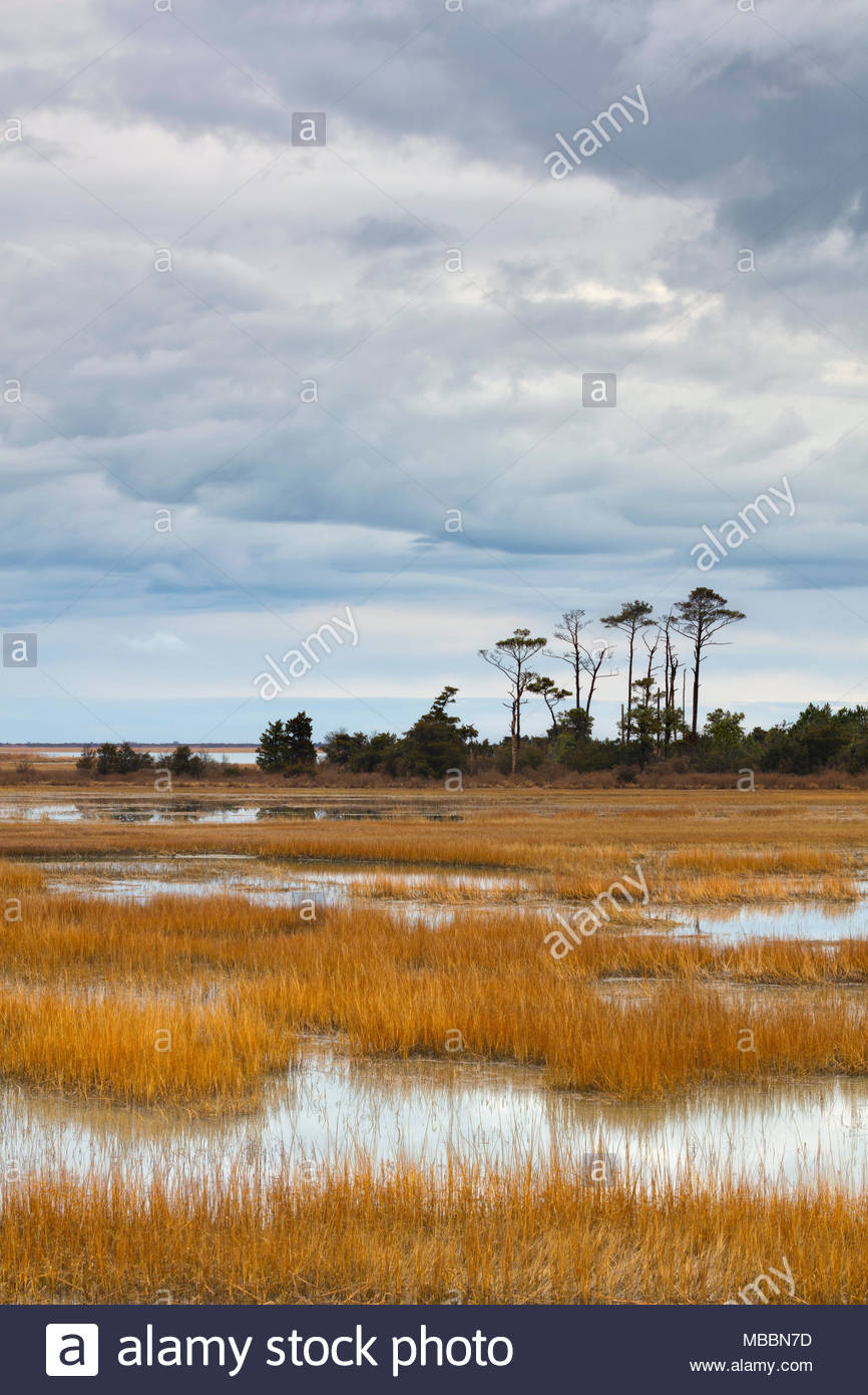 Eastern Shore Of Virginia High Resolution Stock Photography and Images ...