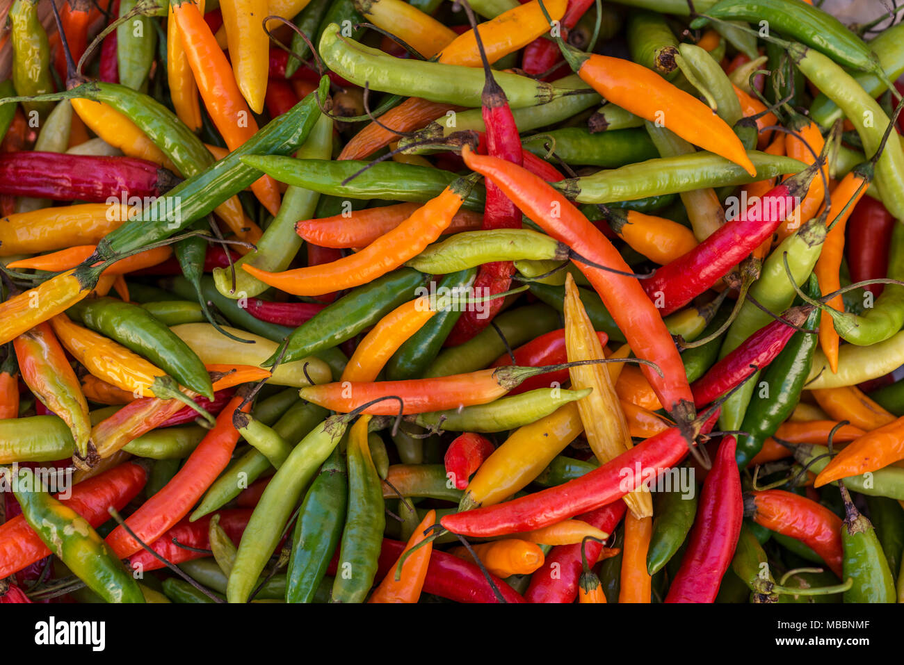 Spicy chillies of different colors that occupy the whole picture Stock ...