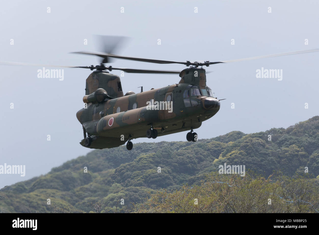 A CH-47 Chinook flies overhead during the Japanese Amphibious Rapid ...